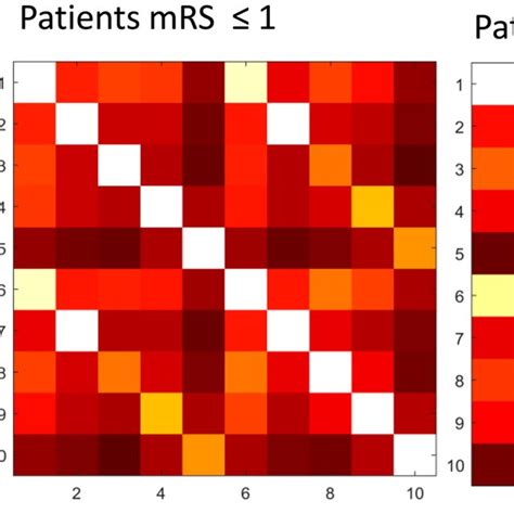 Default Mode Network Functional Connectivity Matrices Mean Rois 1