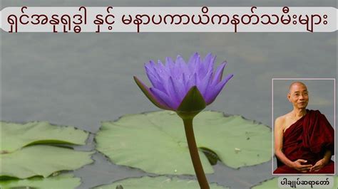 ရှင်အနုရုဒ္ဓါ နှင့်မနာပကာယိကနတ်သမီးများ တရားတော် Youtube