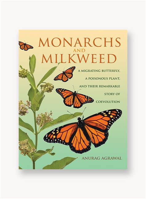 Monarchs And Milkweed Book Theodore Payne Foundation