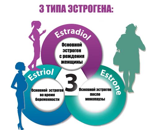 ГОРМОНЫ — виды, как работают, какие анализы сдавать? | KATETSPORT