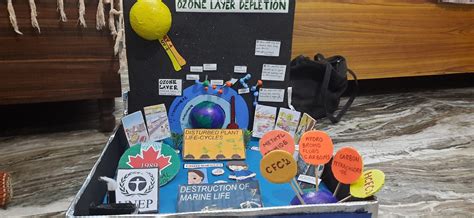 Ozone Layer Depletion Ozone Layer Cells Project Ozone Depletion
