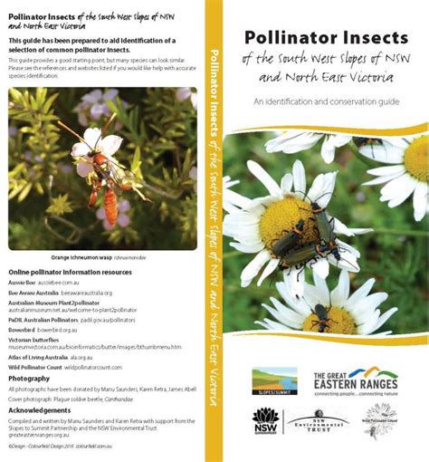 Our Guide To Pollinator Insects Wild Pollinator Count