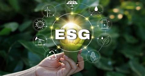 Chiến Lược Thúc đẩy Tín Dụng Xanh Và Thực Tiễn Triển Khai Tại Bidv