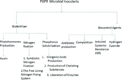 9 Schematic Representation Of Some Importance Of Microbial Inoculant In