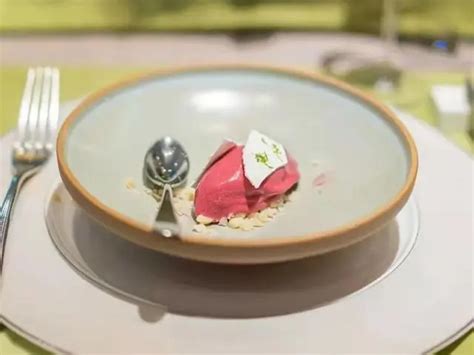 Chef Plating Tools Professional Culinary Plating Tool Set Chef Garnish Tools Kit