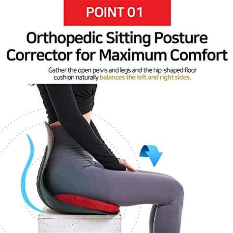 Hihip Comfortable Lumbar Back Support And Posture Correcting Chair For Desk Office