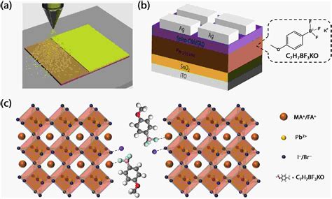 Multiple Cations Enhanced Defect Passivation Of Blue Perovskite Quantum My Xxx Hot Girl