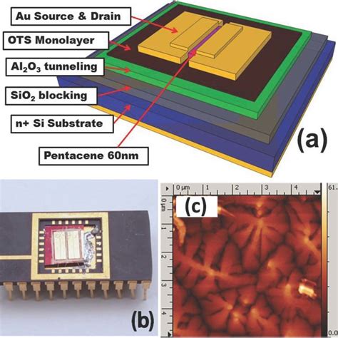 Pdf Molecularly Imprinted Organic Transistor Based Sensor For Selective Trace Chemical Vapor