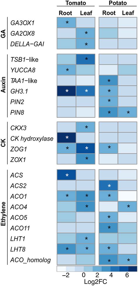 Frontiers Comparative Transcriptome Profiling Provides Insights Into