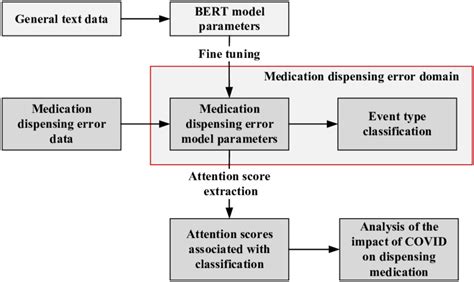 The Process Of Training And Tuning The Bert Model Implementation And