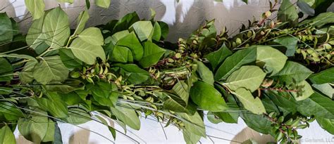 Fresh Mixed Garland Greenery For Weddings And Events By Pacific Garland