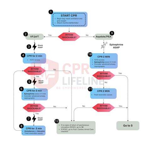Pediatric Cardiac Arrest Algorithm Cpr Lifeline