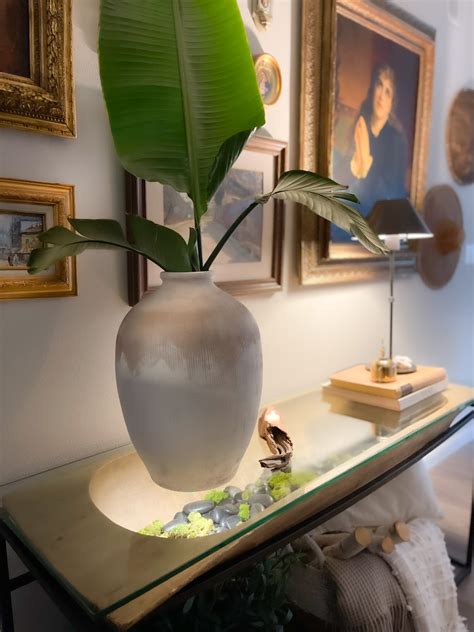 Growing Dahlias Indoors Diy Cocoonraw