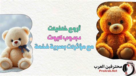 أحلى خلفيات دبدوب كيوت عالية الجودة للهاتف