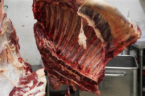 Innovative Pneumatic Tools Reshaping Pork And Beef Processing Kentmaster