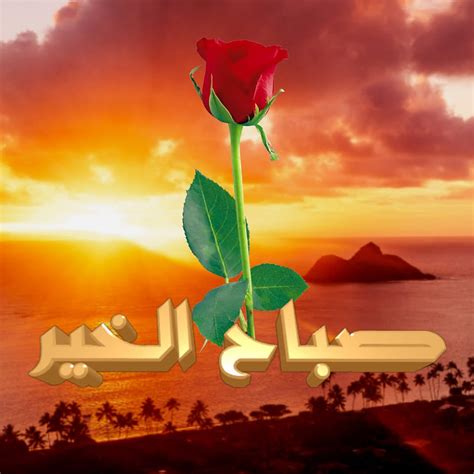 صور صباح الخير On Reels Facebook