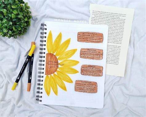 Esquema Bonitos Y Creativos