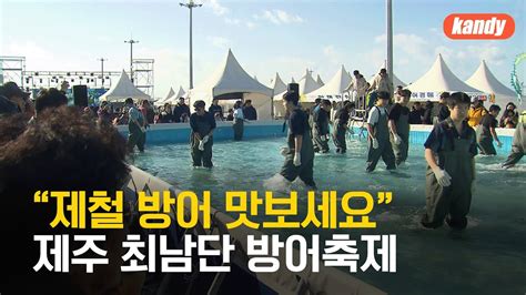 “제철 방어 맛보세요”…제주 최남단 방어축제 Kbs 2024 11 30 Youtube