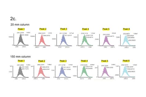 使用20 Mm大孔径hilic色谱柱对糖蛋白进行快速lc Ms分析 Waters