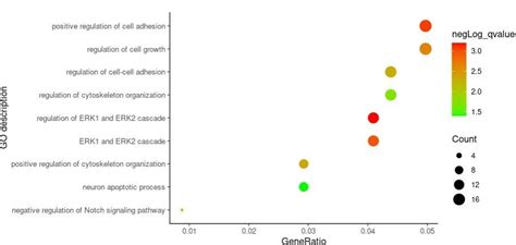 如何用ggplot2绘制基因功能富集气泡图？ 阿里云开发者社区