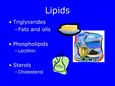 Lipids • Triglycerides Fats And Oils • Phospholipids
