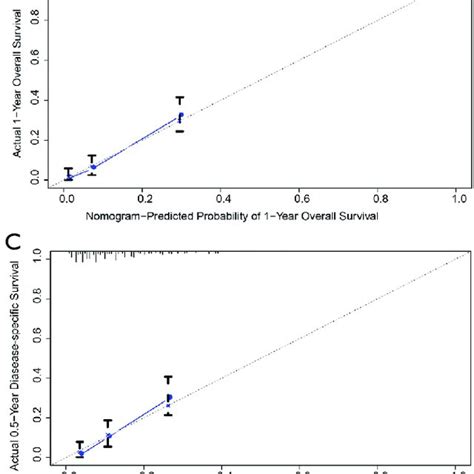 Calibration Curves Of The Nomogram For Predicting Patients Survival