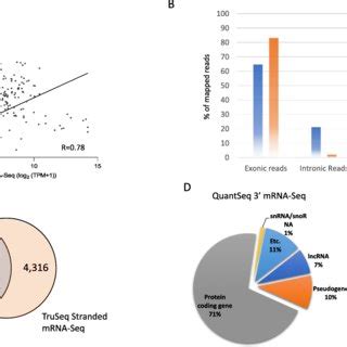 Data Comparison Between The QuantSeq MRNA Seq And TruSeq Stranded Download Scientific