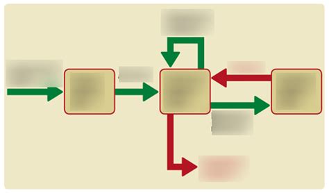 Multi-Store Model Diagram | Quizlet