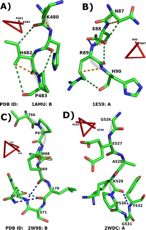 Structural And Functional Analyses Of Polyproline Ii Helices In Globular Proteins Biorxiv