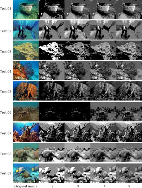 threshold segmentation image based on msmrfo download scientific diagram