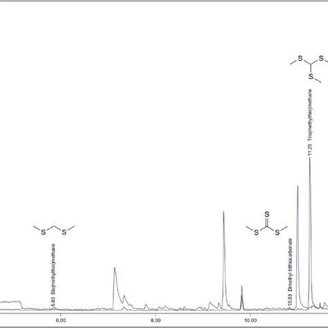 gc ms chromatogram of the headspace of m hyalina black and the