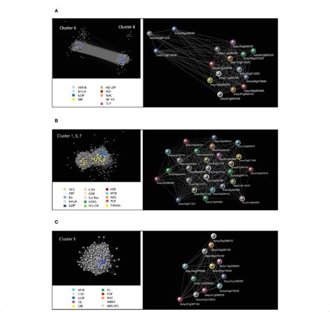 Cluster Specific Gene Co Expression Networks Gcn A Cytoscape Download Scientific Diagram