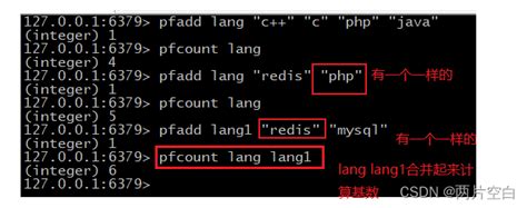 Redis新数据类型 Csdn博客