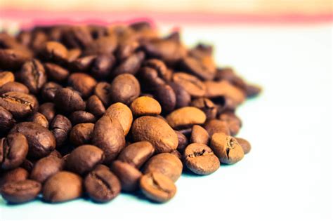 아름 다운 질감의 갓 선택한 맛 있는 풍부한 갈색 자연 향기로운 커피 나무 곡물 Arabica 커피 콩 Robusta 구이 파란색 배경에 공간 복사 갈색에 대한 스톡 사진