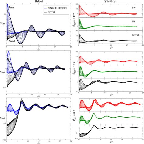 1 Structure Factor Evolution For The Symmetric 2cm System Each