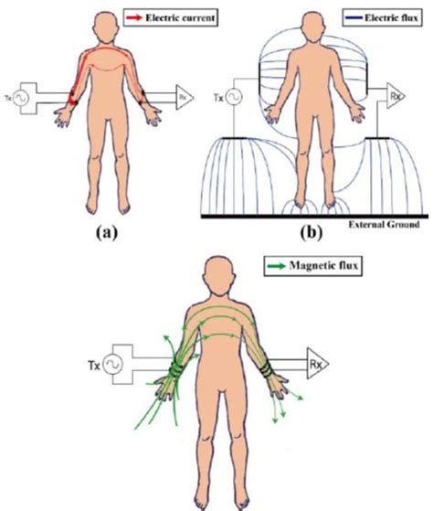 Human Body Communication Schemes Wireless Sensor Network