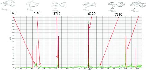 Frf And Mode Shape Of The Experimental Set Up With Contact Between The