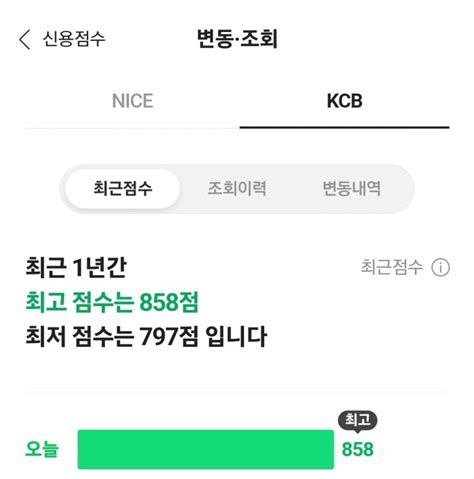 확실히 신용카드가 신용등급 올리기 좋네 인스티즈instiz 일상 카테고리