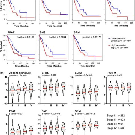clinical associations of the luad integrative transcriptomics and