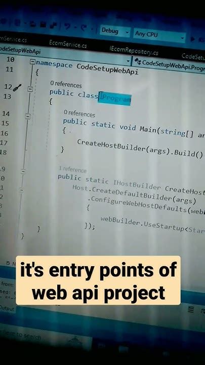 Its Entry Points If Web Api Project Short Shortfeed Core Codewithnd Youtube
