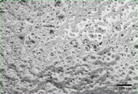 Image Of The Surface Microstructure Of The Composite Mo 10x Download Scientific Diagram