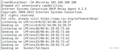 centos7搭建dhcp服务器以及dhcp中继代理配置 centos dhcprelay配置 csdn博客