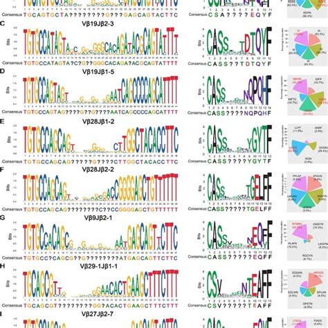 Sequence Motifs Of Genetic Alterations Related To The Specific Tcrs