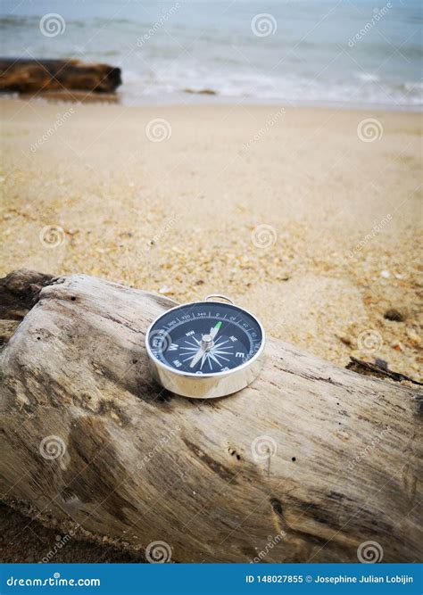 A Compass Showing The Direction Point To North On An Old Tree That