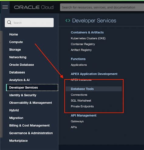 The Database Tools Service In Oracle Cloud Infrastructure Oci Db