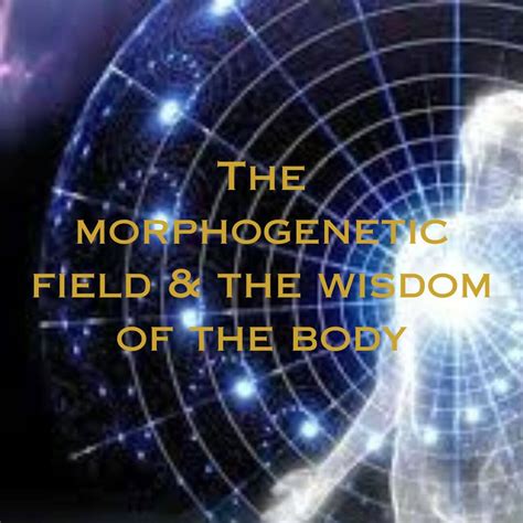 The Morphogenetic Field And The Wisdom Of The Body Lovetuner