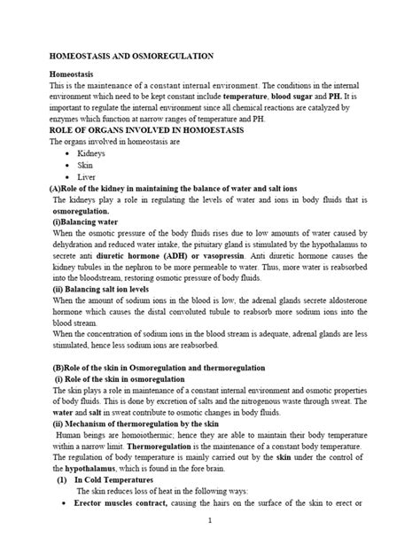 Homeostasis And Osmoregulation Final Version 093839 Pdf Homeostasis Glucose