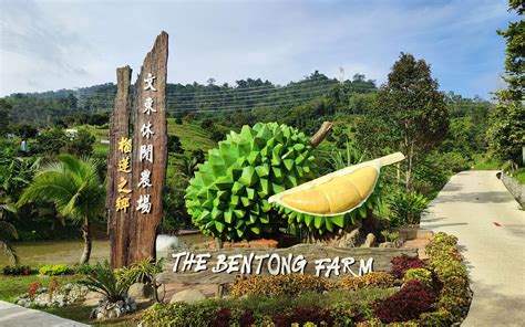 Book Bentong Farm Malaysia Tickets 2023 Best Deals