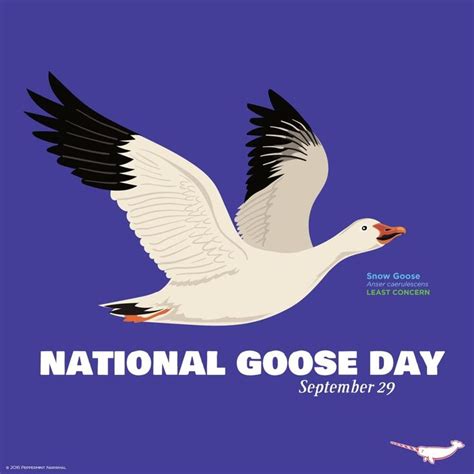 National Goose Day Poster