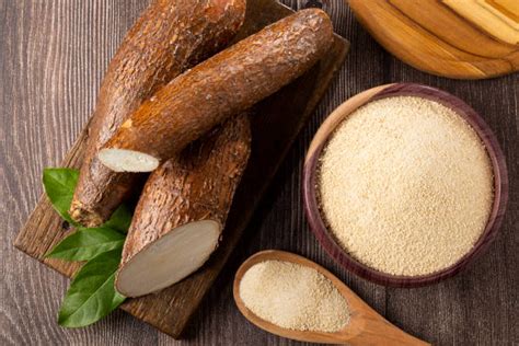 Cassava And Yuca—are They The Same